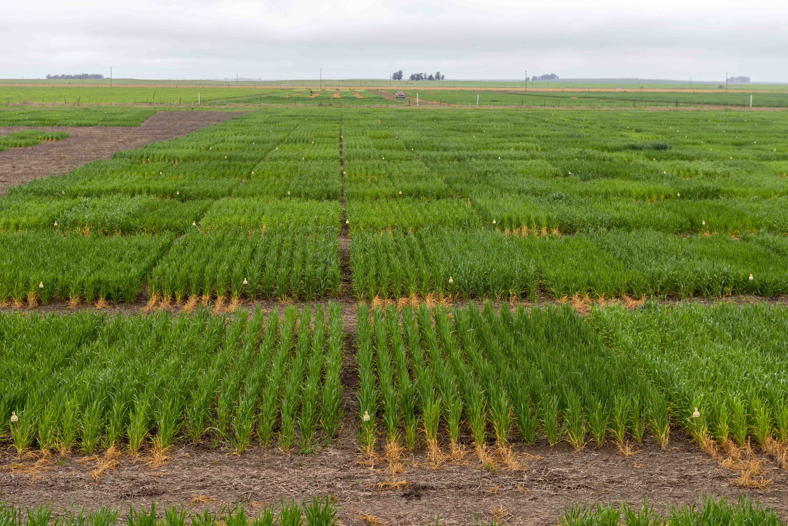 La Voz del Pueblo | La Voz del Pueblo – Desde 1902, acompañando la ...