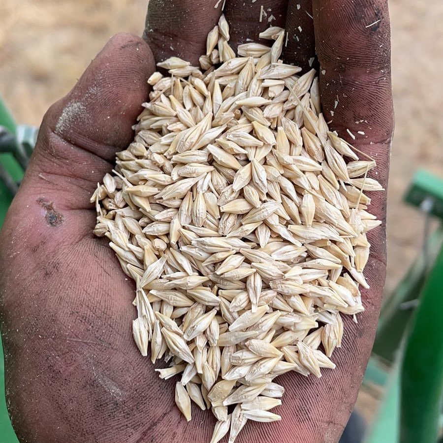 La Voz del Pueblo | La Voz del Pueblo – Desde 1902, acompañando la ...