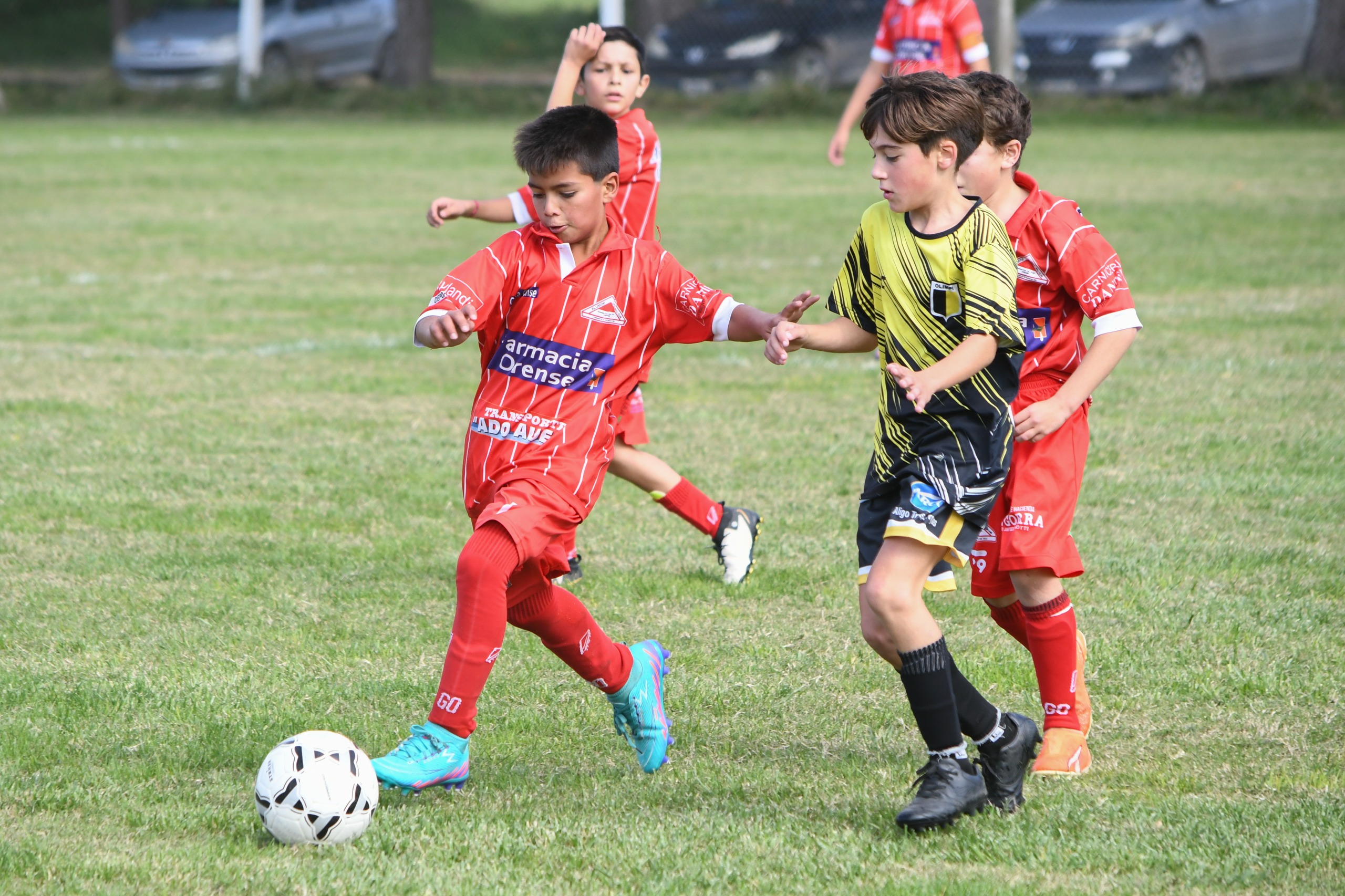 Las Inferiores de fútbol se pusieron al día – La Voz del Pueblo