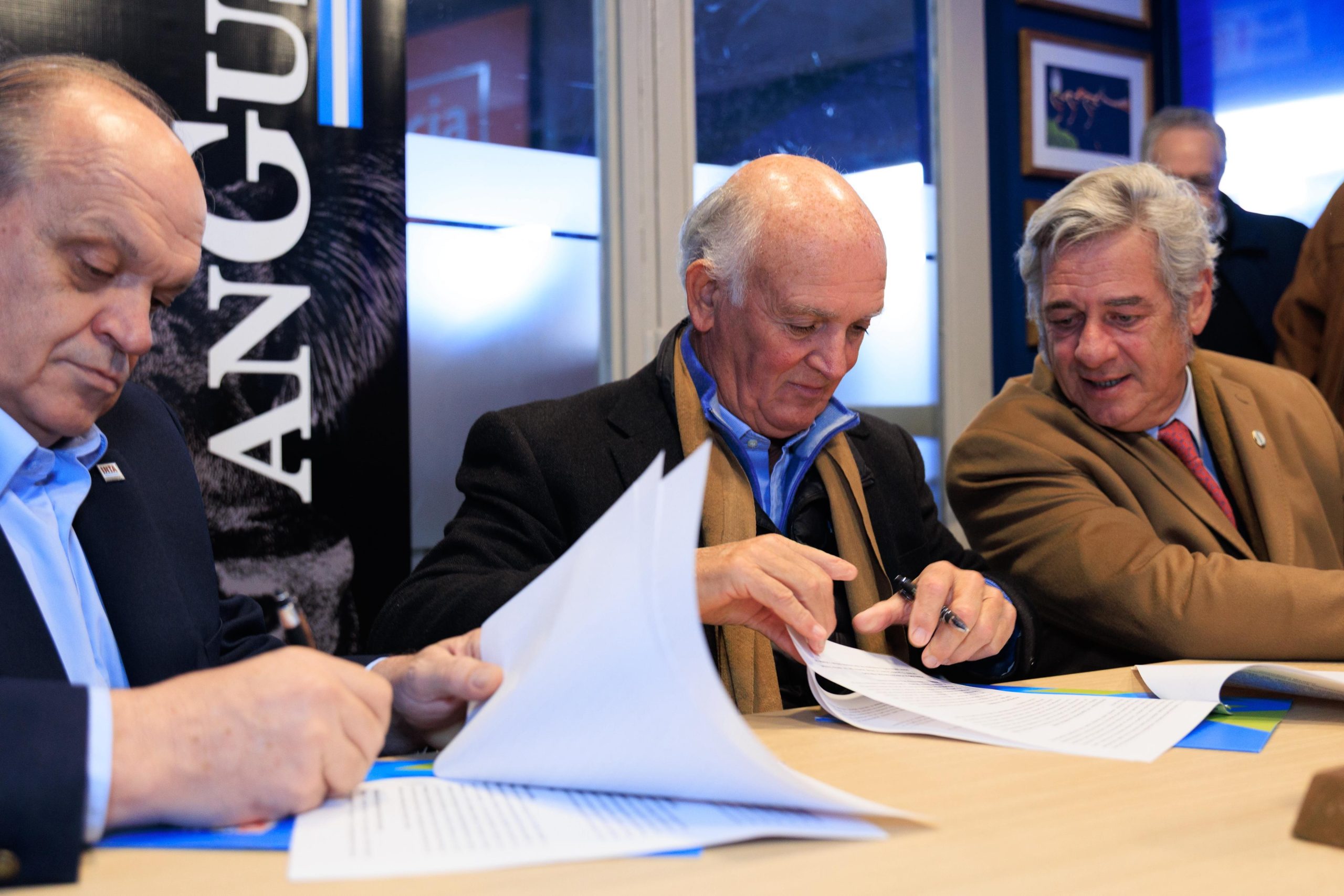INTA y Angus, una sociedad para potenciar la innovación en ganadería ...